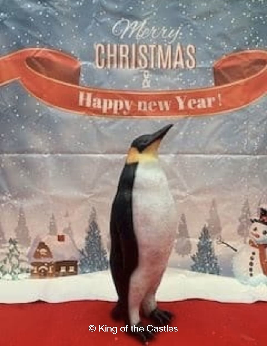 Life-Size King Penguin Prop Hire | Manchester, London & UK